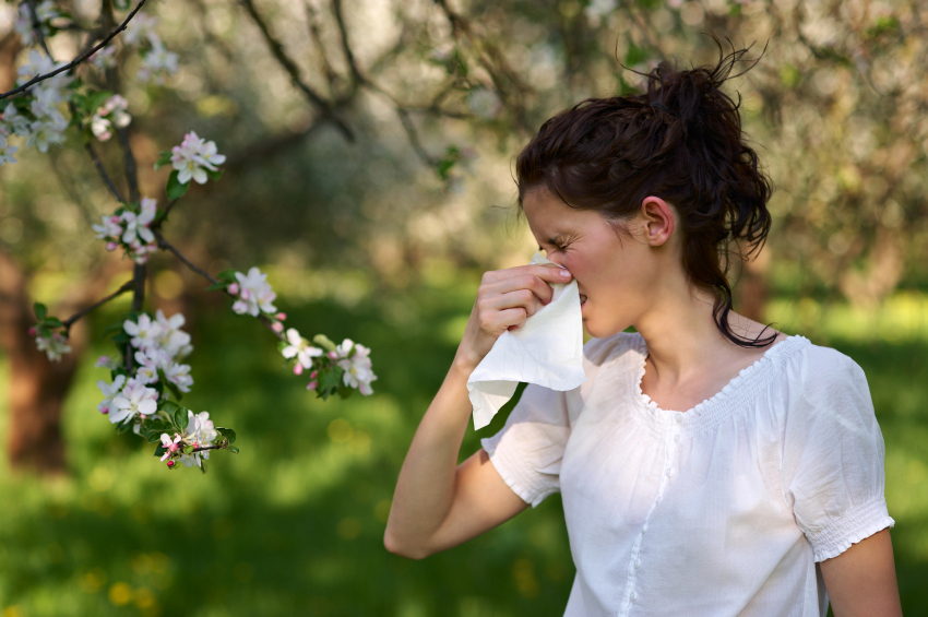 Spring: the best season to boost your immunity - Ping Ming Health
